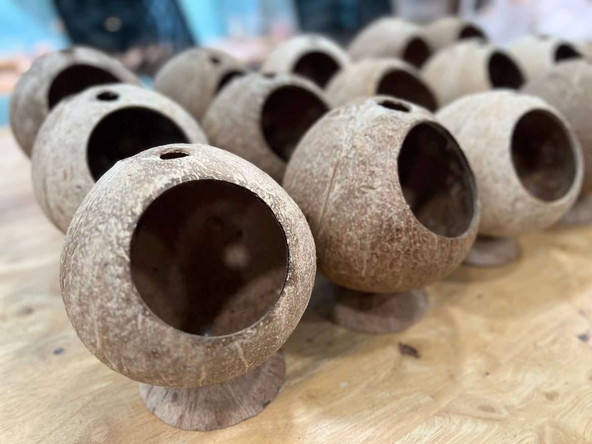 Standing Coconut L – Pet Fables